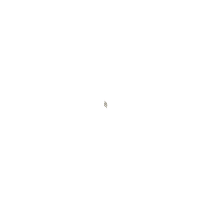 SDS-plus® Bulldog™ Tough Rotary Hammer Bits - Bosch Professional